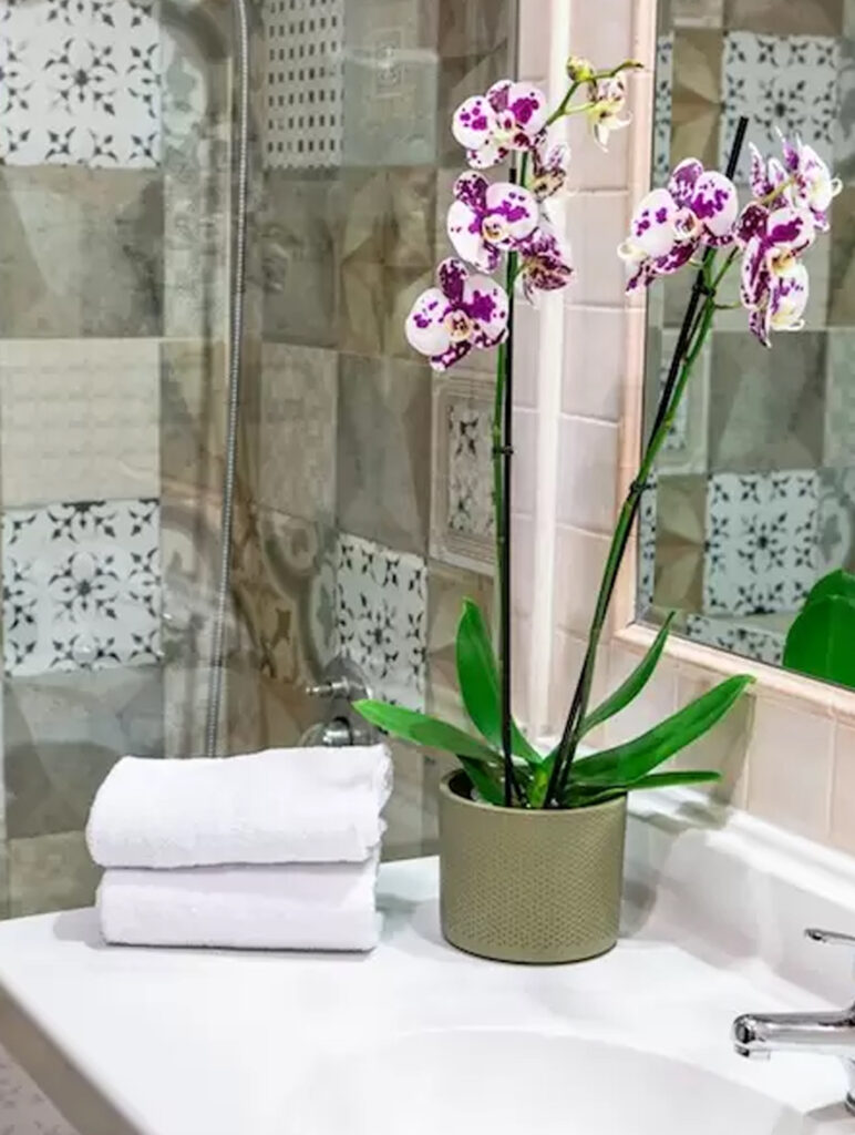 ROOMS - BV Oly Hotel